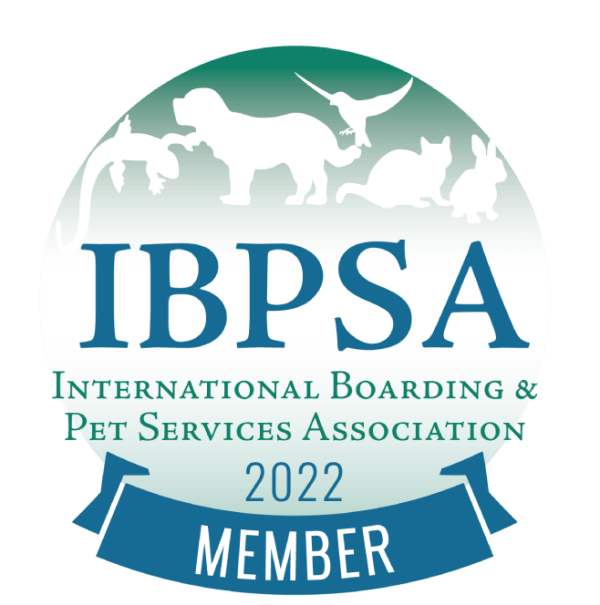 K9 Activity Club: Expert Dog Boarding, Daycare & Training